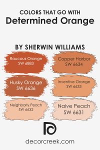 Determined Orange SW 6635 Paint Color by Sherwin Williams - DecorCreek