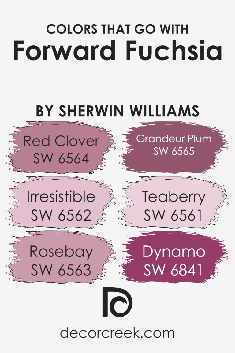 Forward Fuchsia SW 6842 Paint Color by Sherwin Williams - DecorCreek