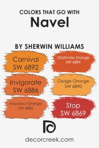 Navel SW 6887 Paint Color by Sherwin Williams - DecorCreek