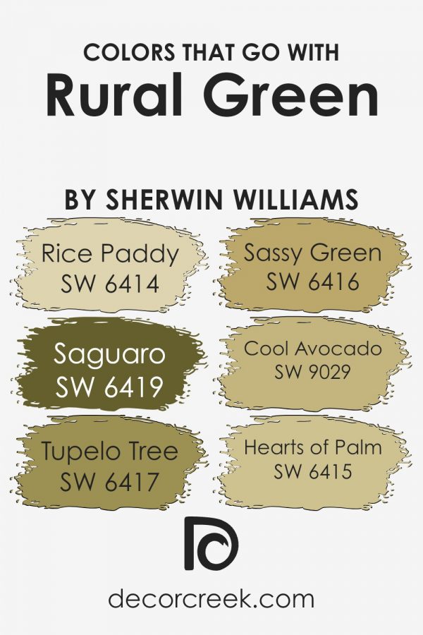Rural Green SW 6418 Paint Color by Sherwin Williams - DecorCreek