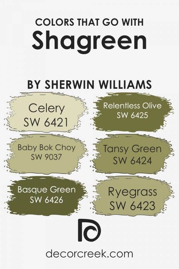 Shagreen SW 6422 Paint Color by Sherwin Williams - DecorCreek
