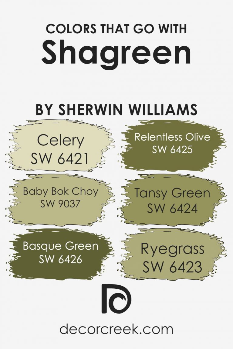 Shagreen SW 6422 Paint Color by Sherwin Williams - DecorCreek