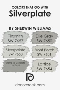 Silverplate SW 7649 Paint Color by Sherwin Williams - DecorCreek