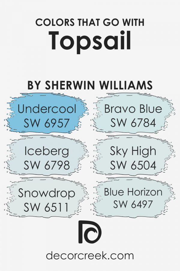 Topsail SW 6217 Paint Color by Sherwin Williams - DecorCreek