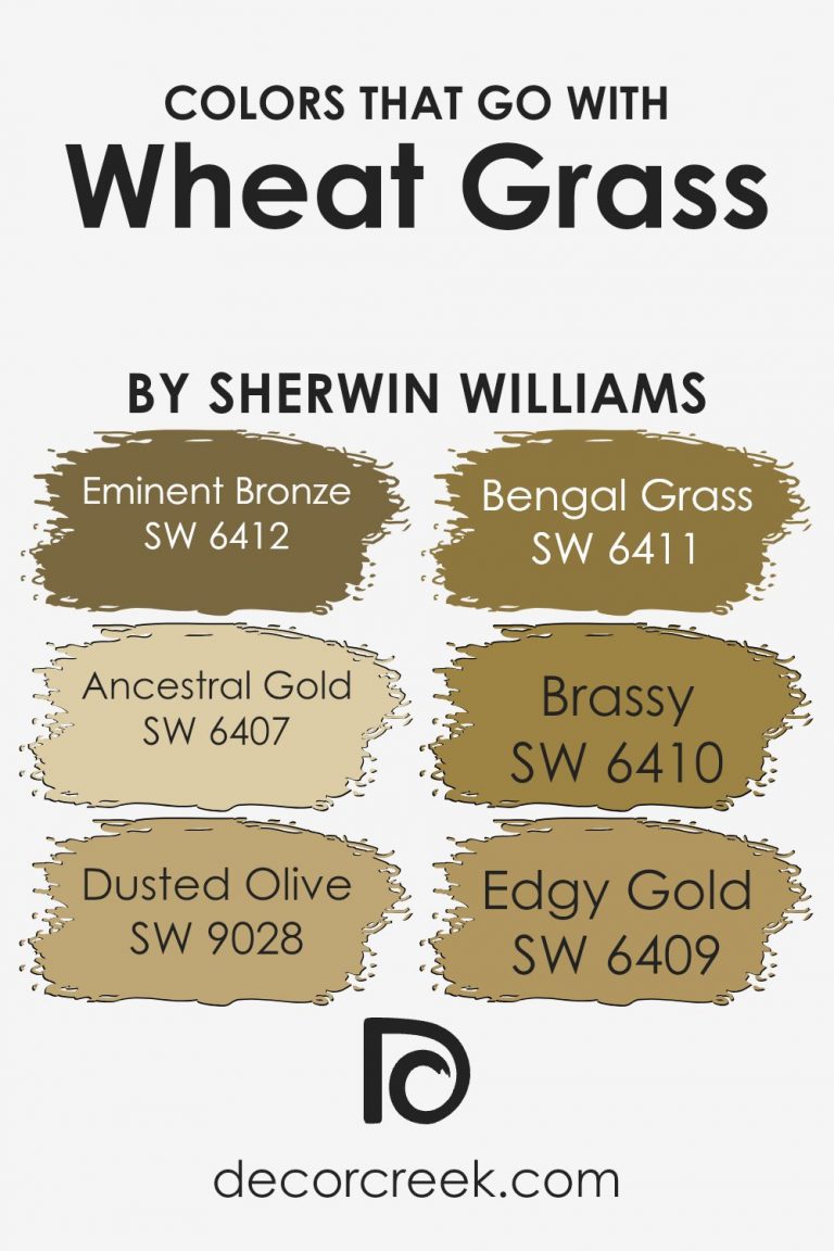 Wheat Grass SW 6408 Paint Color by Sherwin Williams - DecorCreek