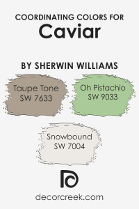 Caviar SW 6990 Paint Color by Sherwin Williams - DecorCreek