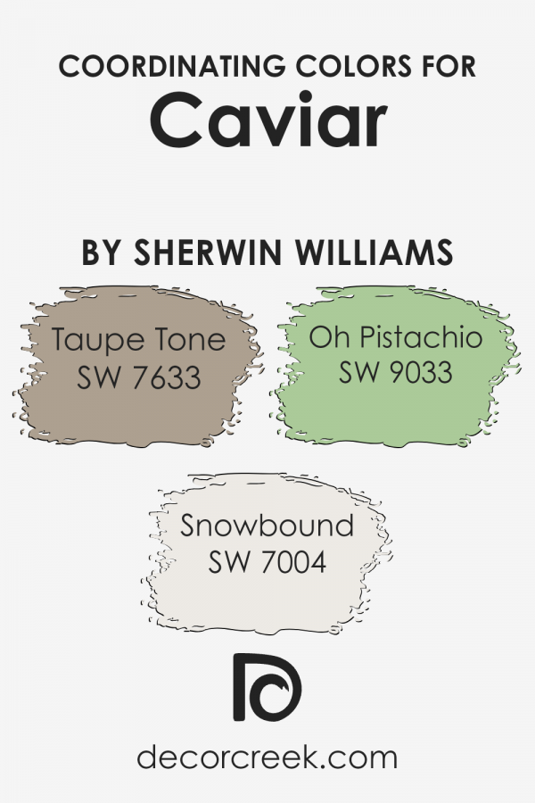 Caviar SW 6990 Paint Color by Sherwin Williams - DecorCreek