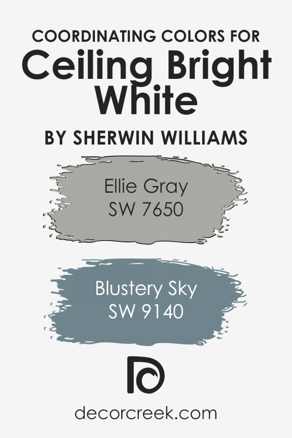 Ceiling Bright White SW 7007 Paint Color by Sherwin Williams - DecorCreek