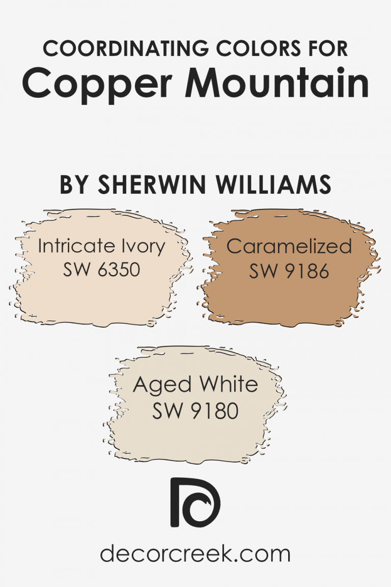 Copper Mountain SW 6356 Paint Color by Sherwin Williams - DecorCreek