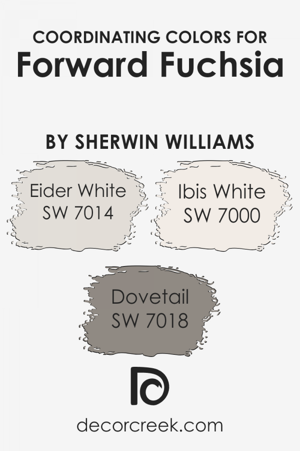 Forward Fuchsia SW 6842 Paint Color by Sherwin Williams - DecorCreek