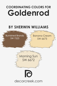 Goldenrod SW 6677 Paint Color by Sherwin Williams - DecorCreek