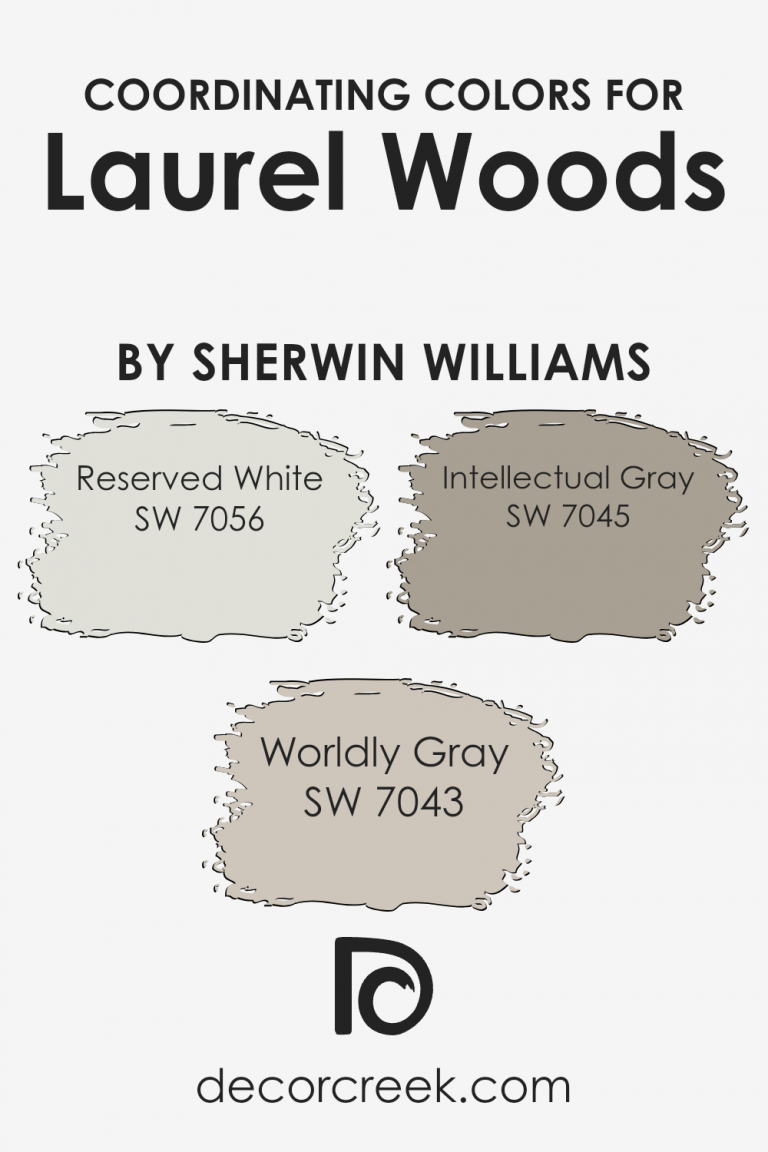 Laurel Woods SW 7749 Paint Color by Sherwin Williams - DecorCreek