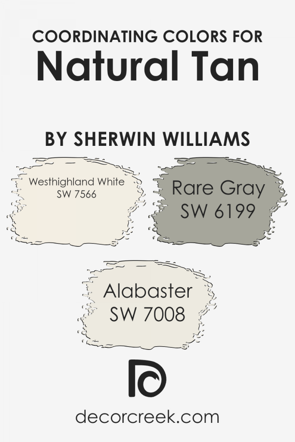 Natural Tan SW 7567 Paint Color by Sherwin Williams - DecorCreek
