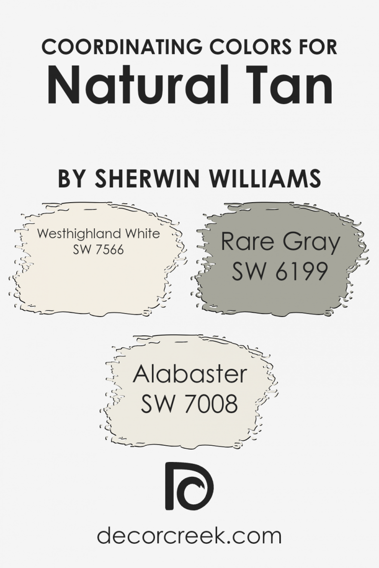 Natural Tan SW 7567 Paint Color by Sherwin Williams - DecorCreek