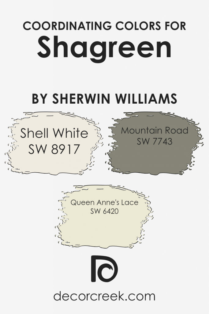 Shagreen SW 6422 Paint Color by Sherwin Williams - DecorCreek