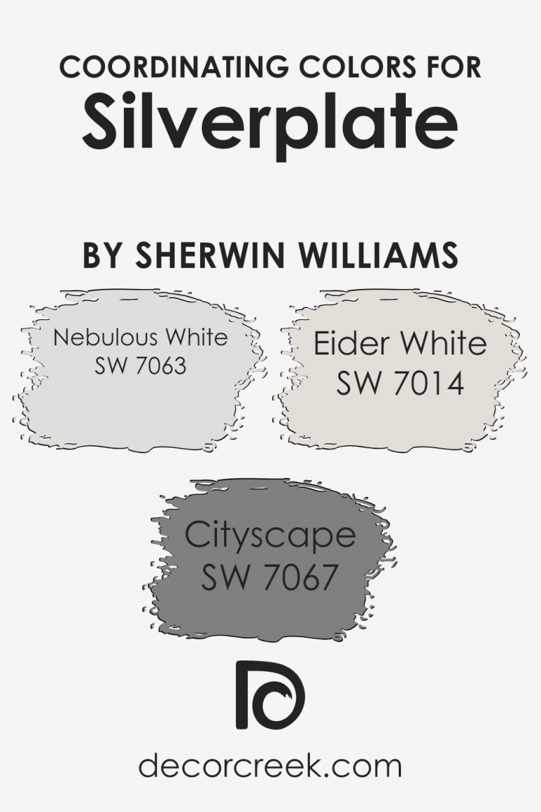 Silverplate SW 7649 Paint Color by Sherwin Williams - DecorCreek