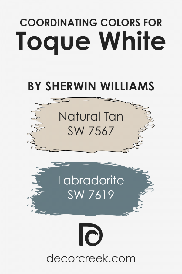 Toque White SW 7003 Paint Color by Sherwin Williams - DecorCreek