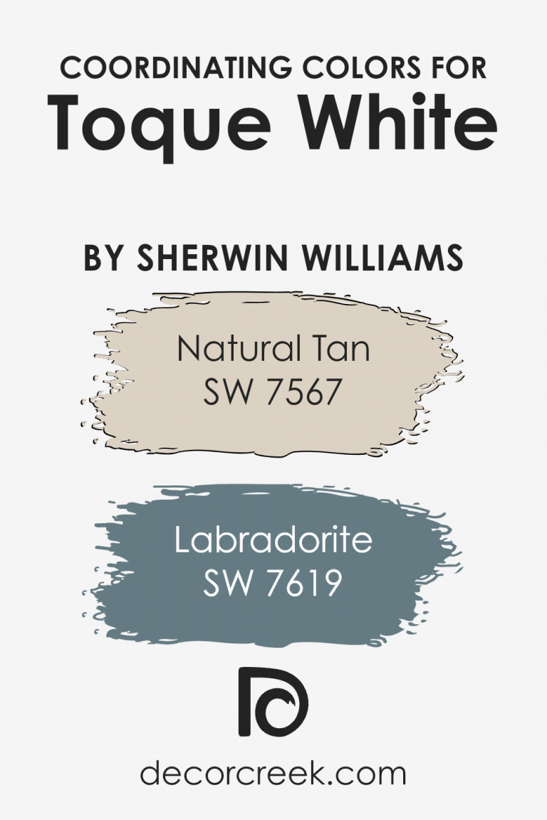 Toque White SW 7003 Paint Color by Sherwin Williams - DecorCreek