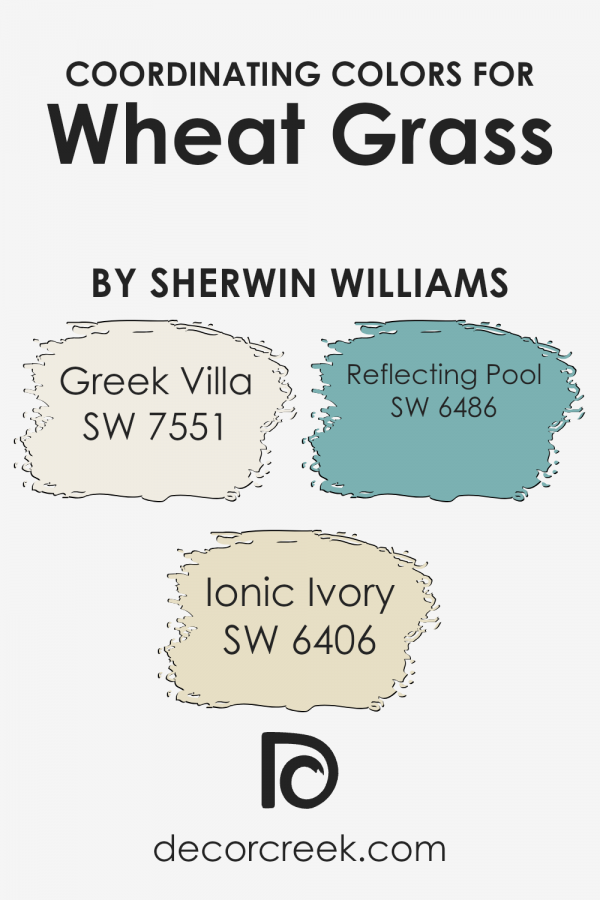 Wheat Grass SW 6408 Paint Color by Sherwin Williams - DecorCreek