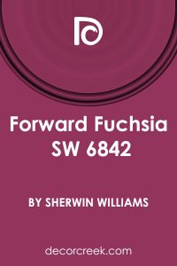 Forward Fuchsia SW 6842 Paint Color by Sherwin Williams - DecorCreek