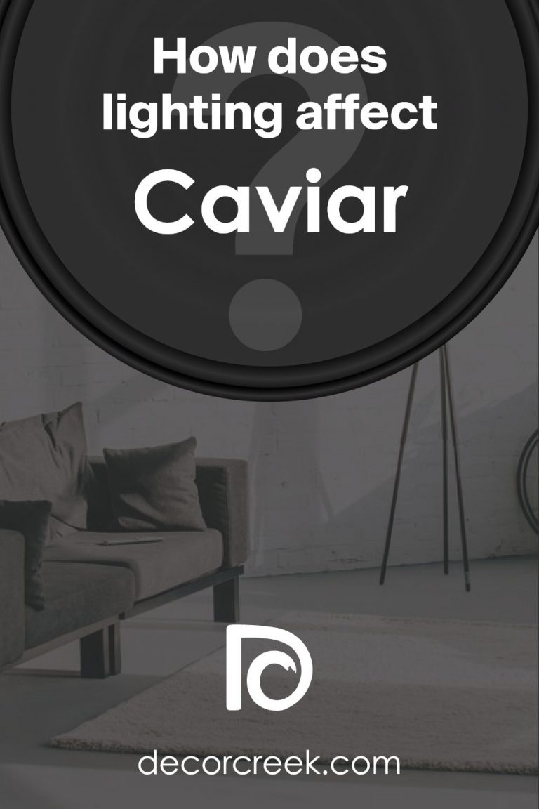 Caviar SW 6990 Paint Color by Sherwin Williams - DecorCreek