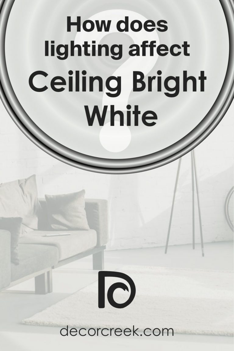 Ceiling Bright White SW 7007 Paint Color by Sherwin Williams - DecorCreek
