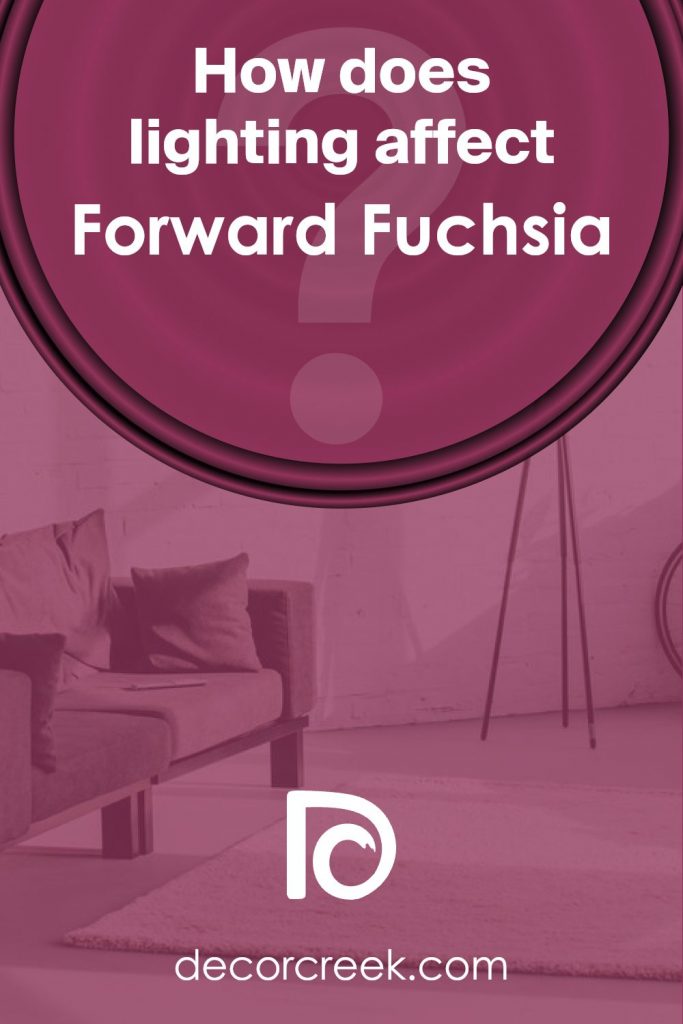 Forward Fuchsia SW 6842 Paint Color by Sherwin Williams - DecorCreek
