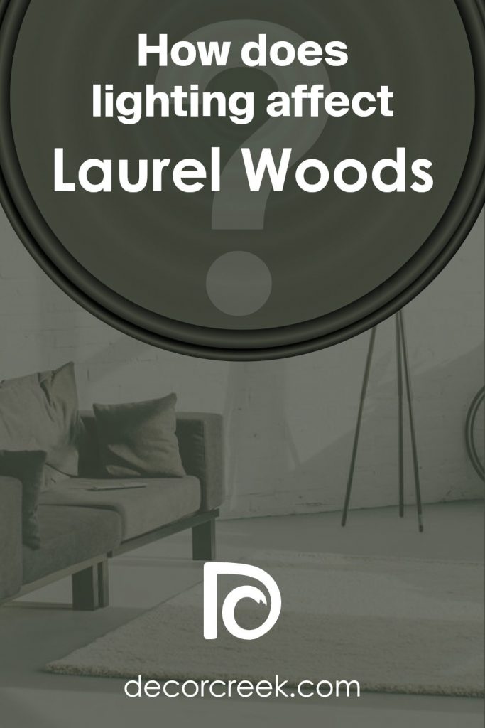 Laurel Woods SW 7749 Paint Color by Sherwin Williams - DecorCreek
