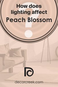 Peach Blossom SW 6624 Paint Color by Sherwin Williams - DecorCreek