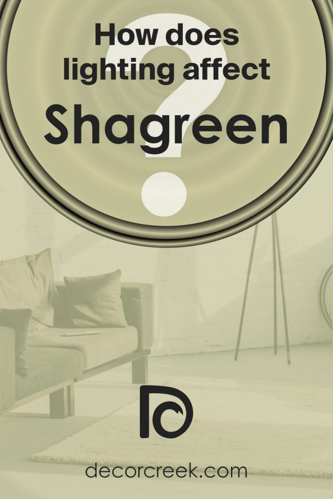 Shagreen SW 6422 Paint Color by Sherwin Williams - DecorCreek