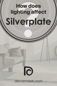 Silverplate SW 7649 Paint Color by Sherwin Williams - DecorCreek