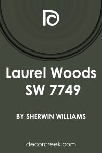 Laurel Woods SW 7749 Paint Color by Sherwin Williams - DecorCreek