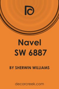 Navel SW 6887 Paint Color by Sherwin Williams - DecorCreek