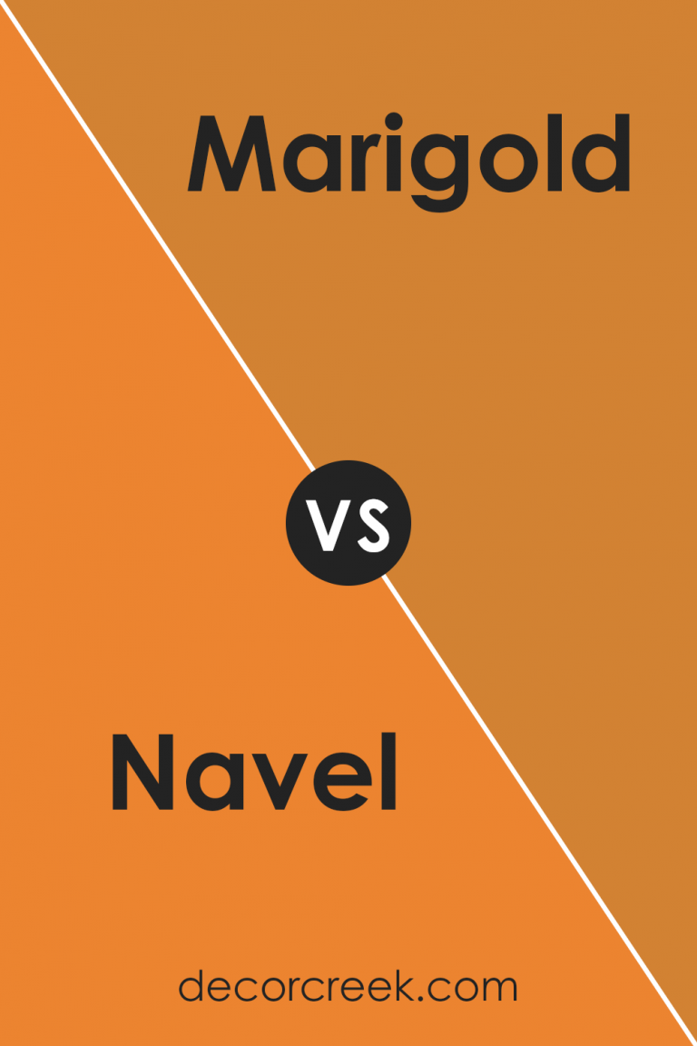 Navel SW 6887 Paint Color by Sherwin Williams - DecorCreek