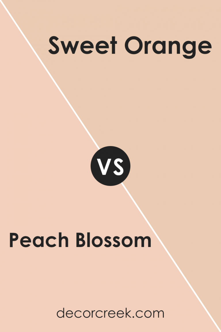 Peach Blossom SW 6624 Paint Color by Sherwin Williams - DecorCreek