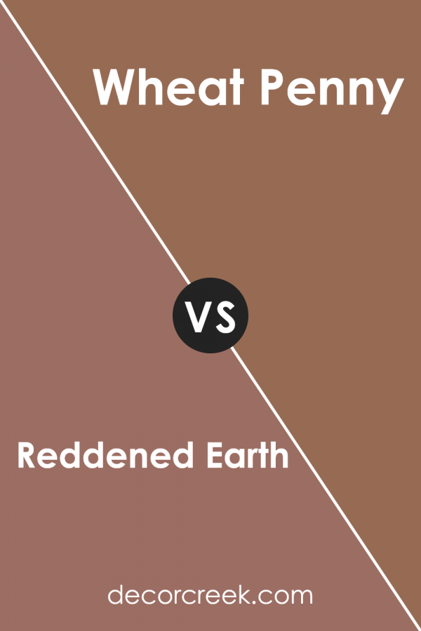 Reddened Earth SW 6053 Paint Color by Sherwin Williams - DecorCreek