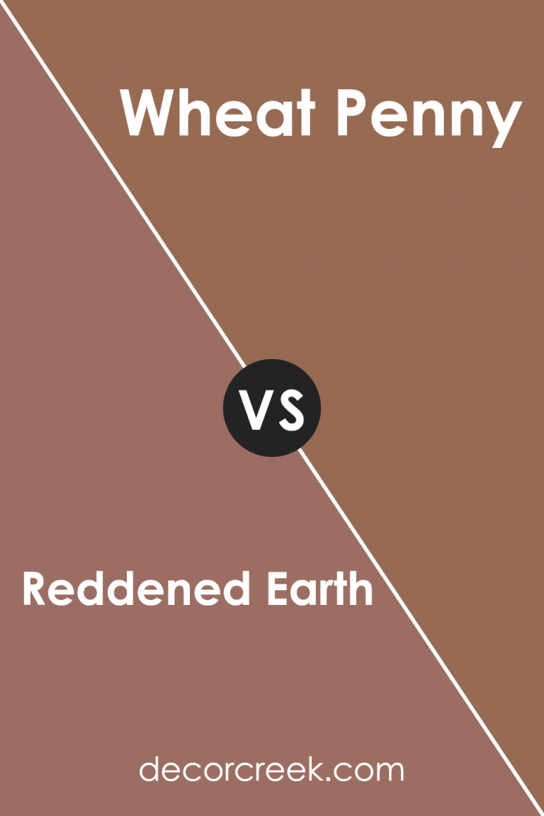 Reddened Earth SW 6053 Paint Color by Sherwin Williams - DecorCreek
