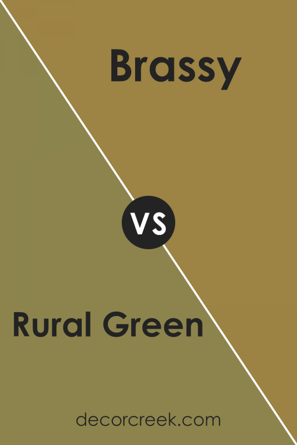 Rural Green SW 6418 Paint Color by Sherwin Williams - DecorCreek