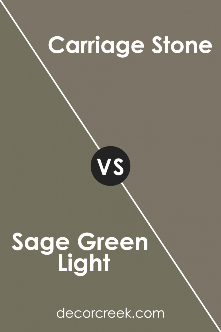Sage Green Light SW 2851 Paint Color by Sherwin Williams - DecorCreek