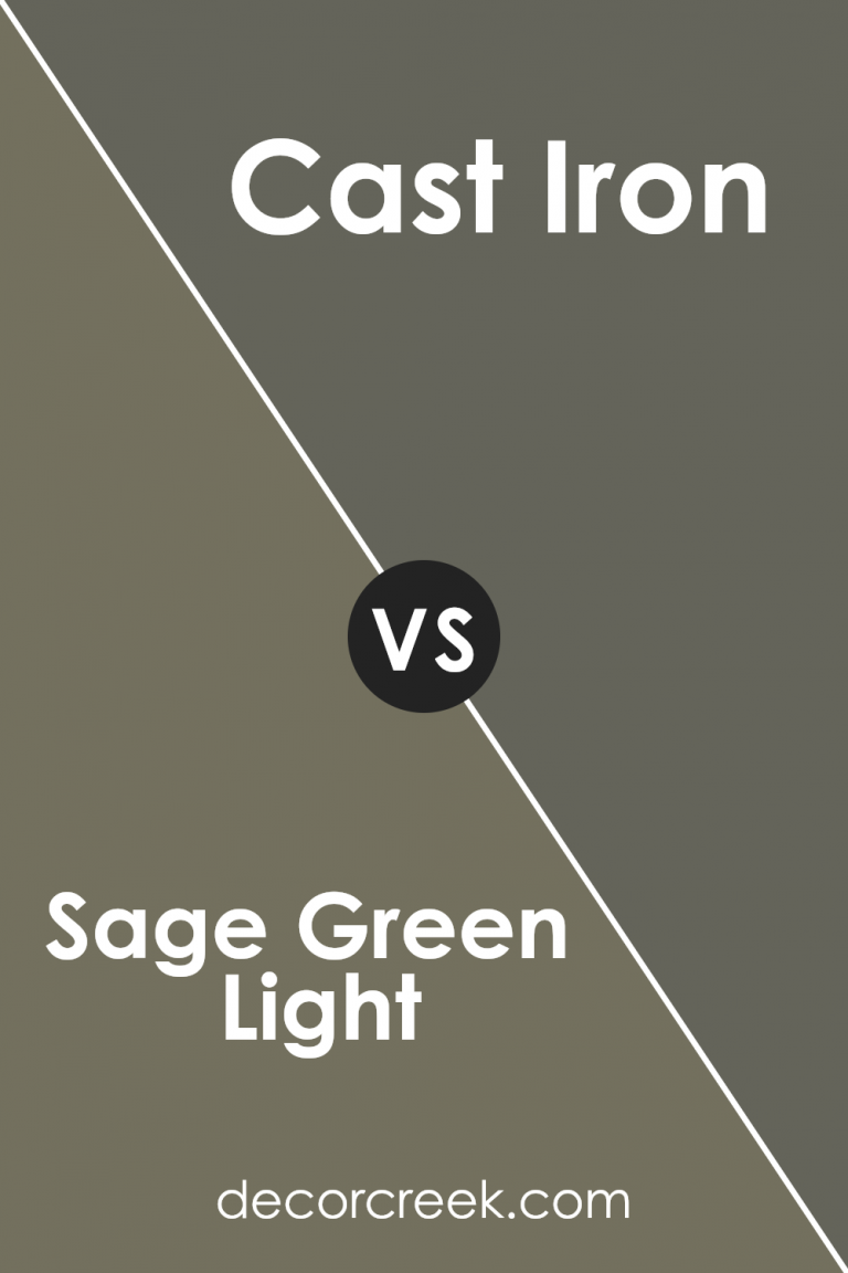 Sage Green Light SW 2851 Paint Color by Sherwin Williams - DecorCreek