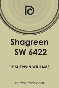 Shagreen SW 6422 Paint Color by Sherwin Williams - DecorCreek