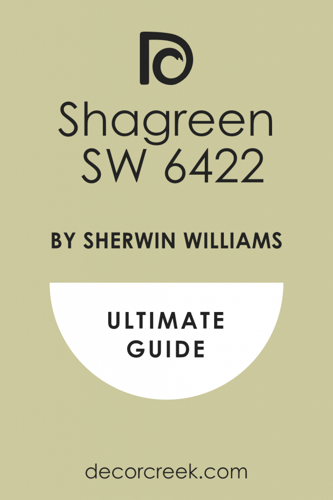 Shagreen SW 6422 Paint Color by Sherwin Williams - DecorCreek