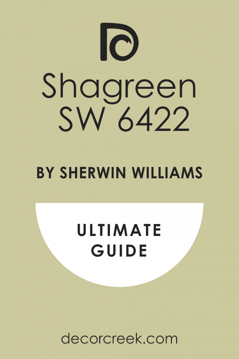 Shagreen SW 6422 Paint Color by Sherwin Williams - DecorCreek