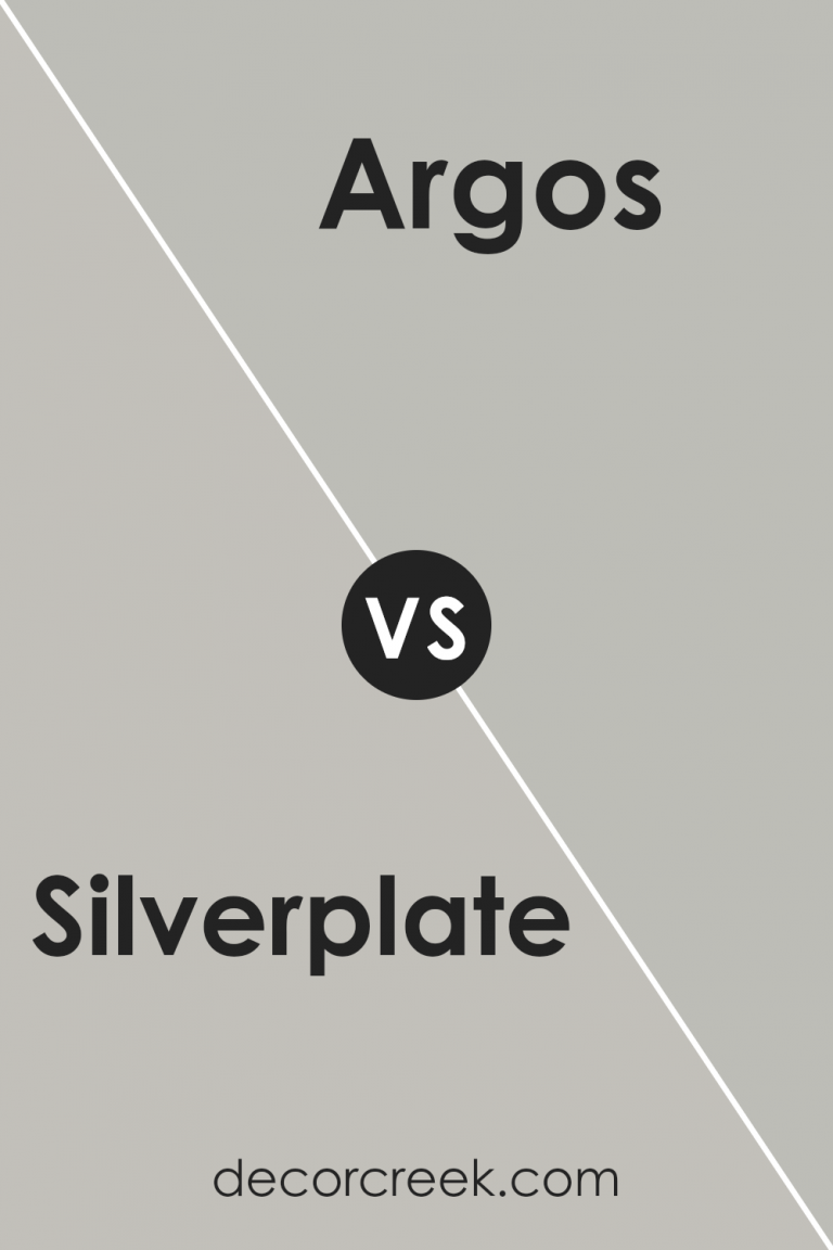 Silverplate SW 7649 Paint Color by Sherwin Williams - DecorCreek