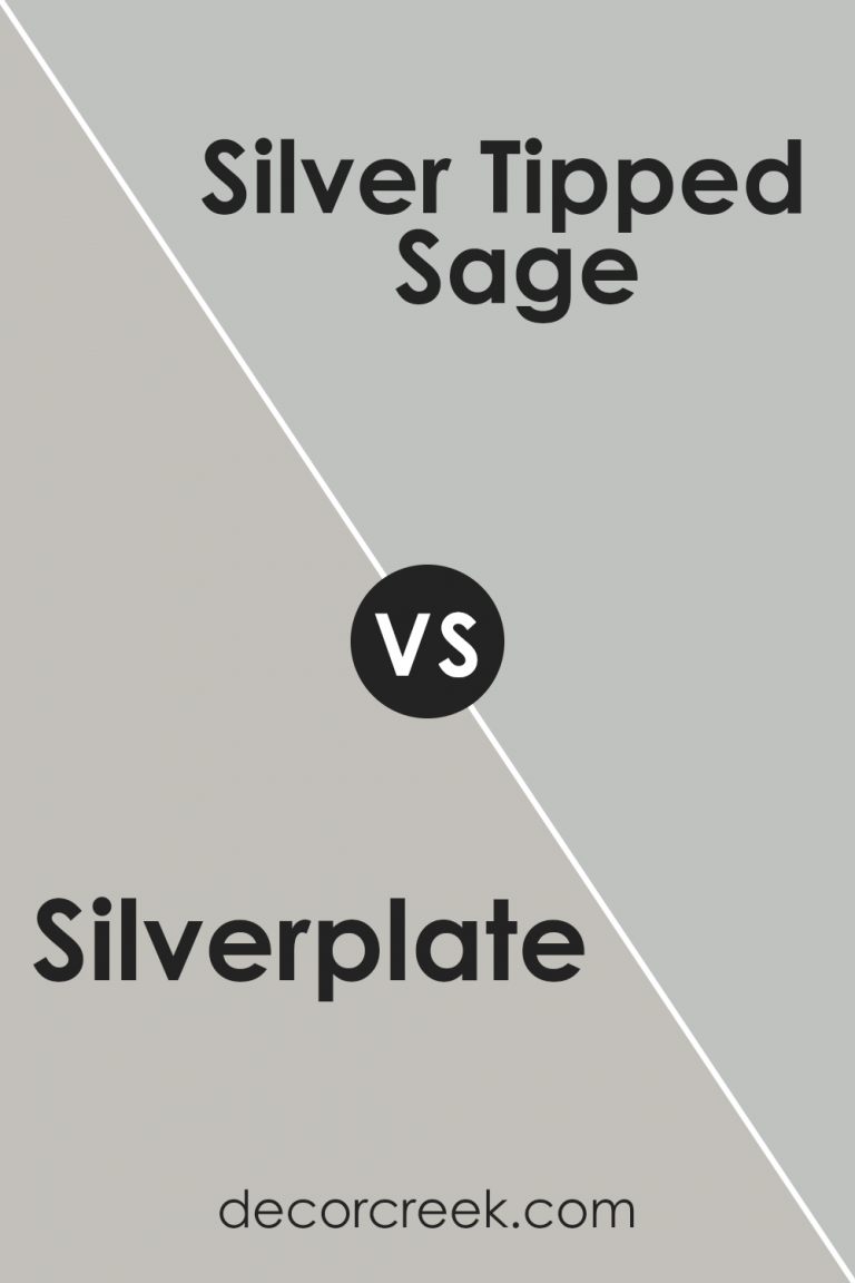 Silverplate SW 7649 Paint Color by Sherwin Williams - DecorCreek