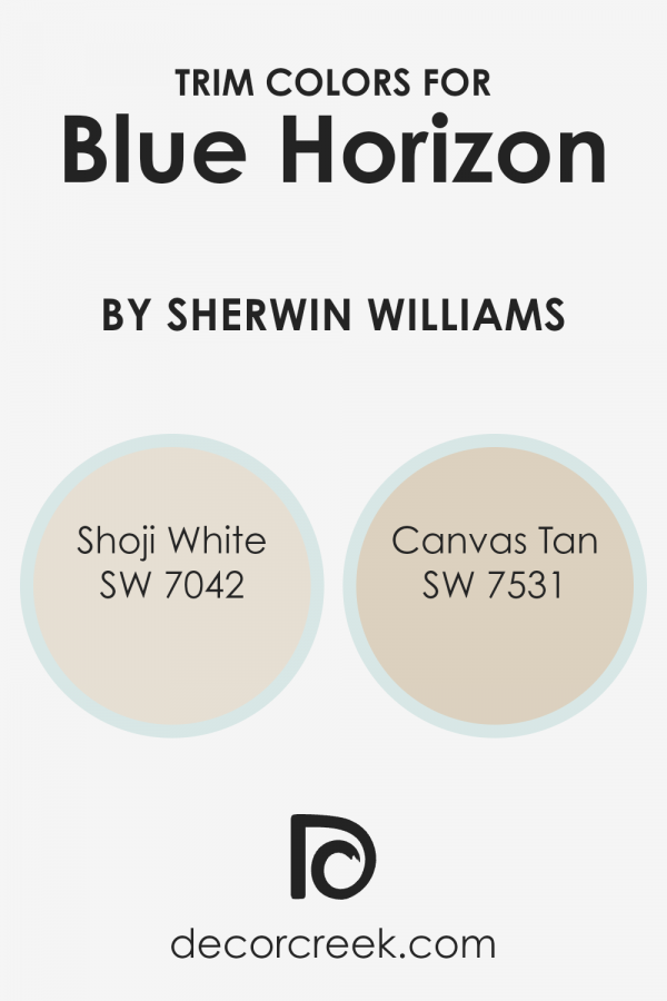 Blue Horizon SW 6497 Paint Color by Sherwin Williams - DecorCreek
