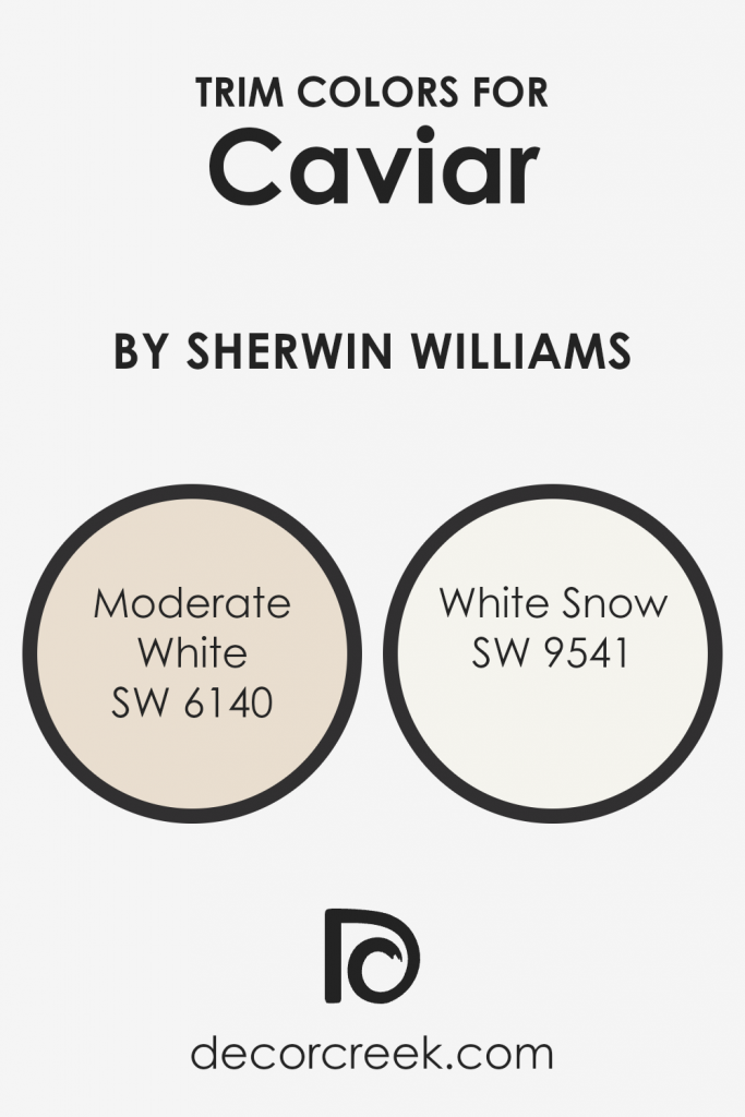 Caviar SW 6990 Paint Color by Sherwin Williams - DecorCreek