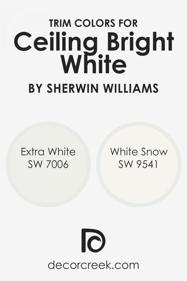 Ceiling Bright White SW 7007 Paint Color by Sherwin Williams - DecorCreek