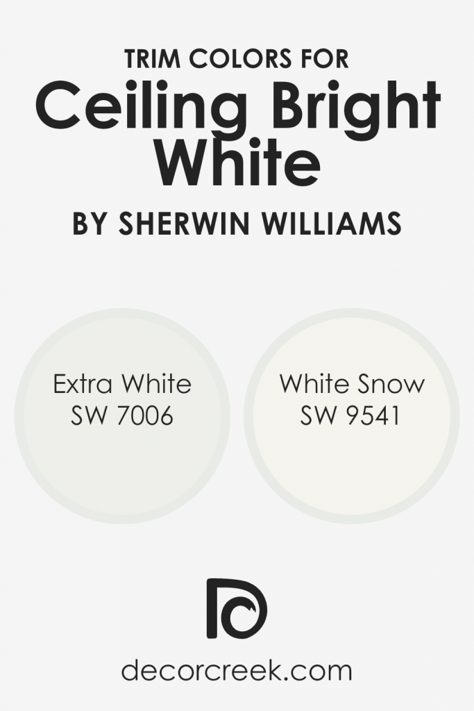 Ceiling Bright White SW 7007 Paint Color by Sherwin Williams - DecorCreek