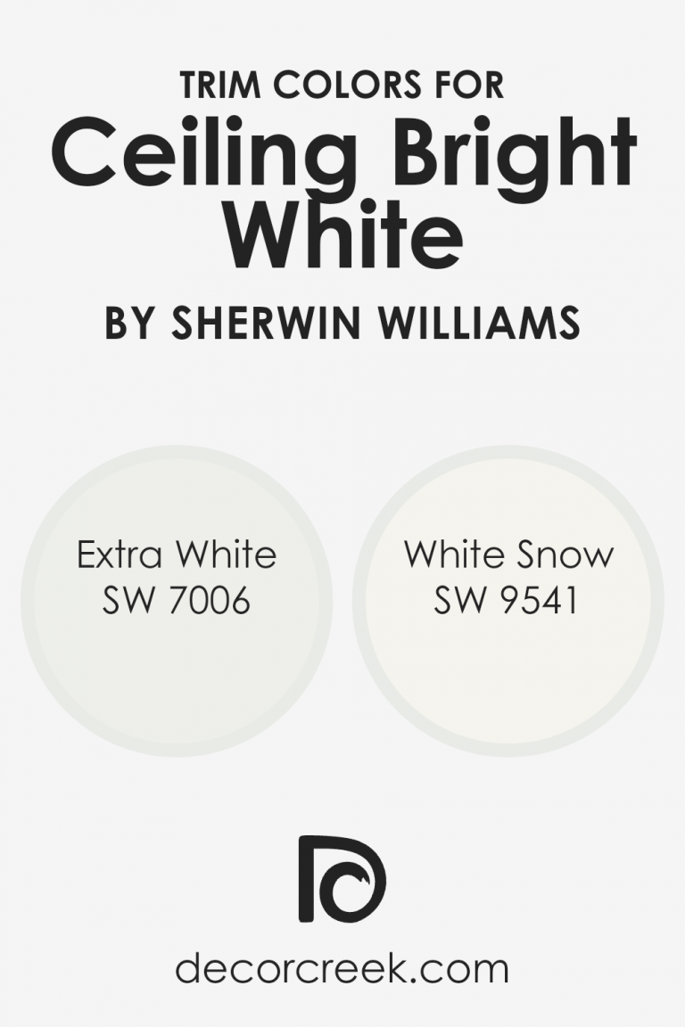 Ceiling Bright White SW 7007 Paint Color by Sherwin Williams - DecorCreek